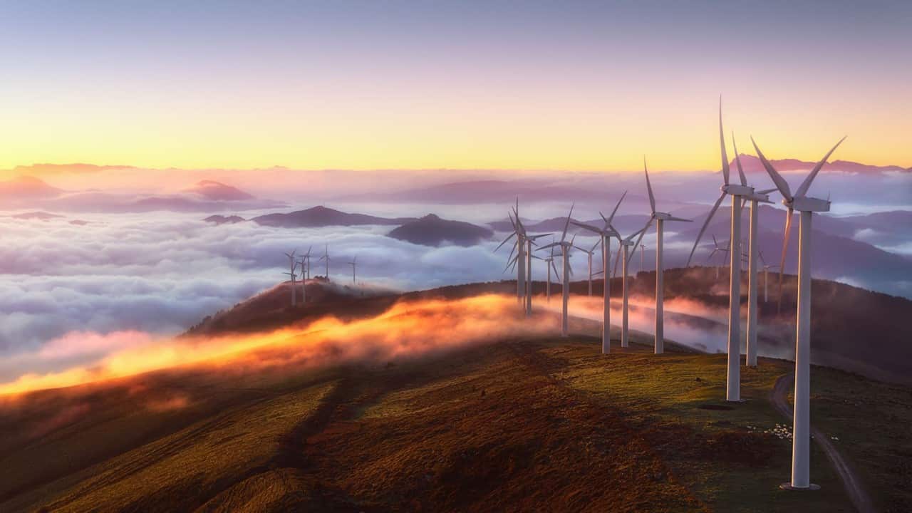 La neutralité carbone : définition, principes et enjeux — OMNEGY by EPSA